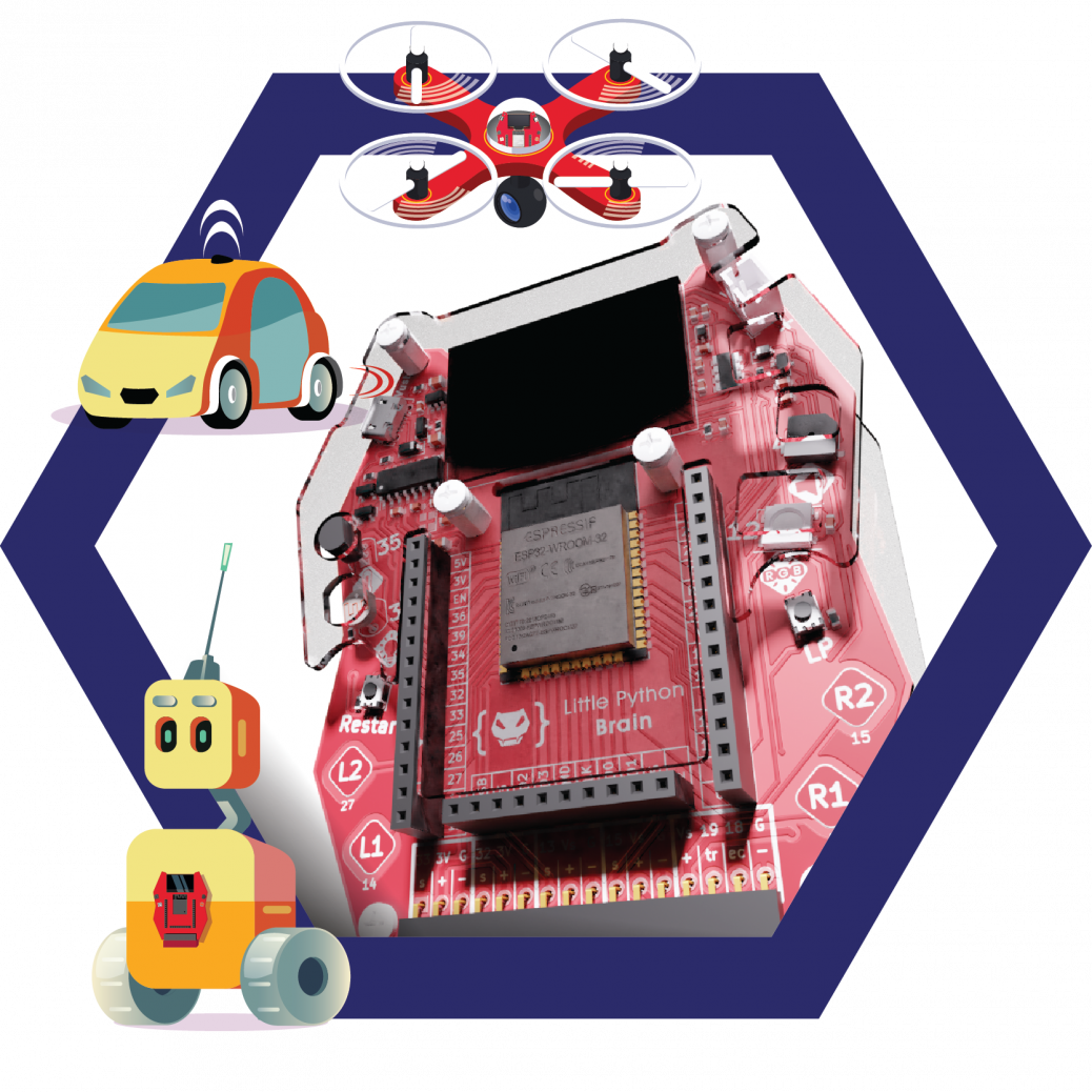 Brain – Little Python