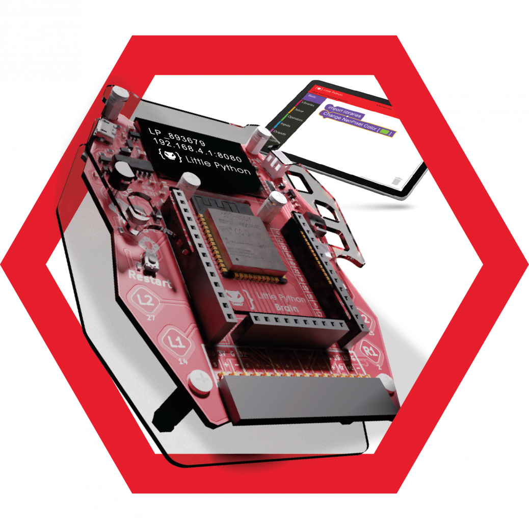 Brain – Little Python